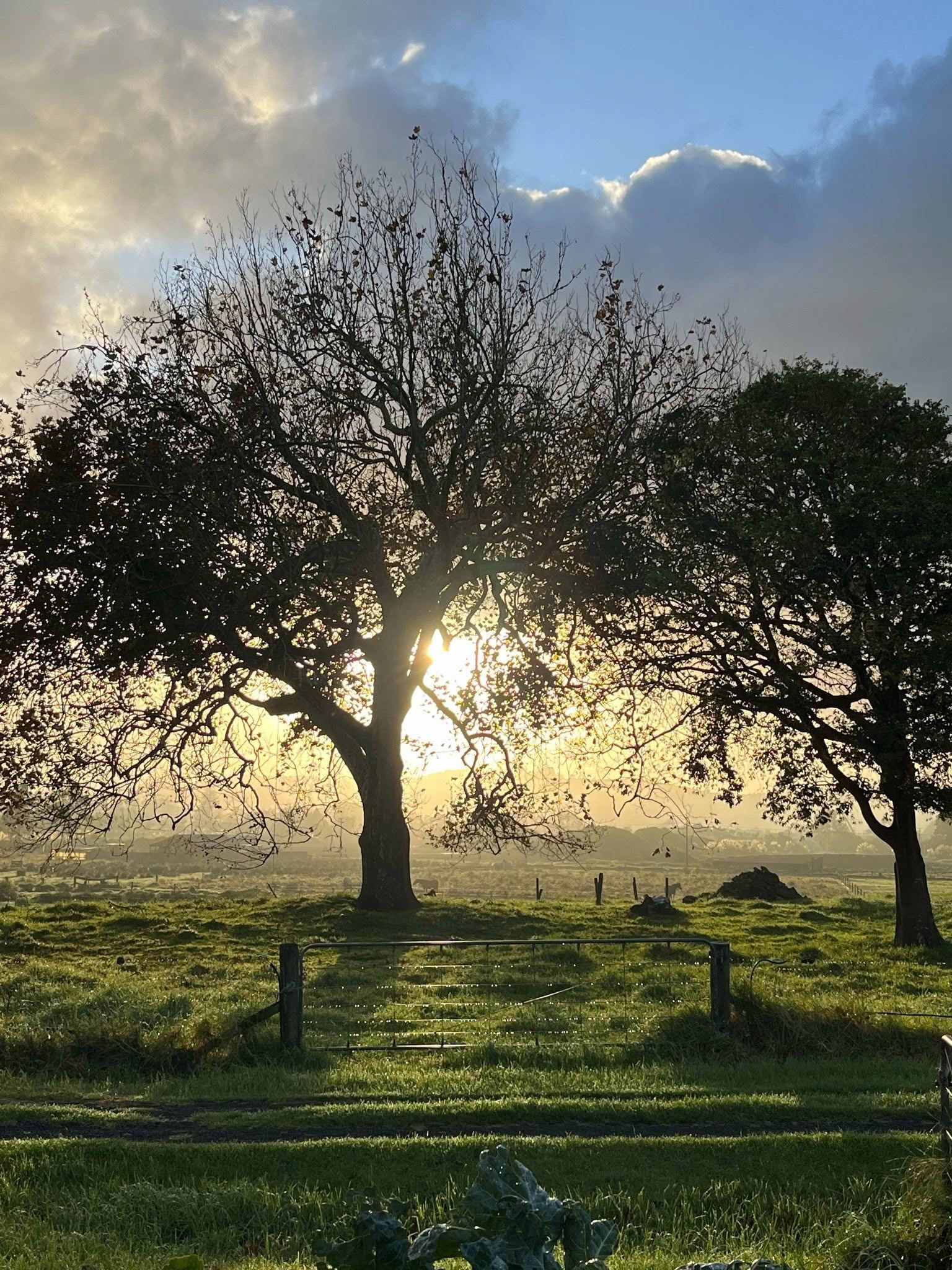 Spiritual Retreats - Peacemakers Retreat Centre